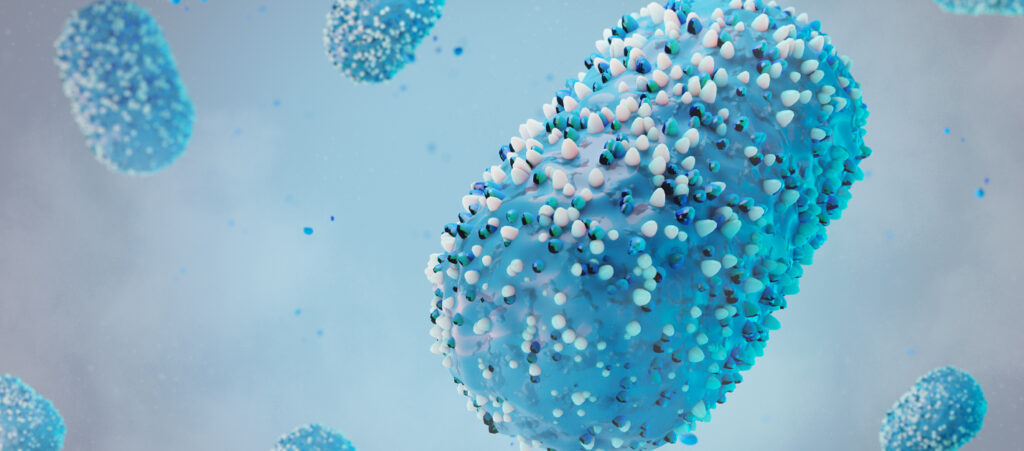 Varíola dos Macacos – O que é, transmissão, sintomas e tratamento. | HAS